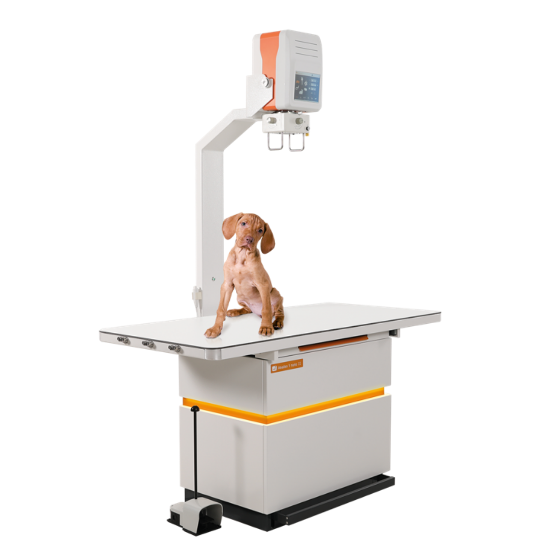 Amadeo Complete Systems